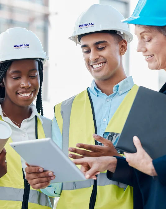 Inspection Insights – aeis